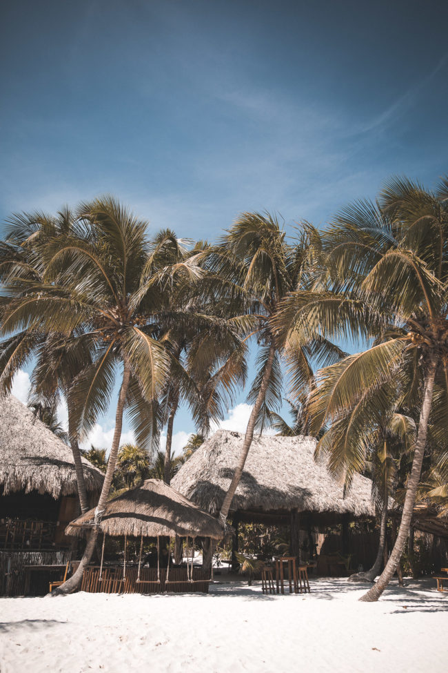 Tulum Coco Limited-4 - Josie Loves