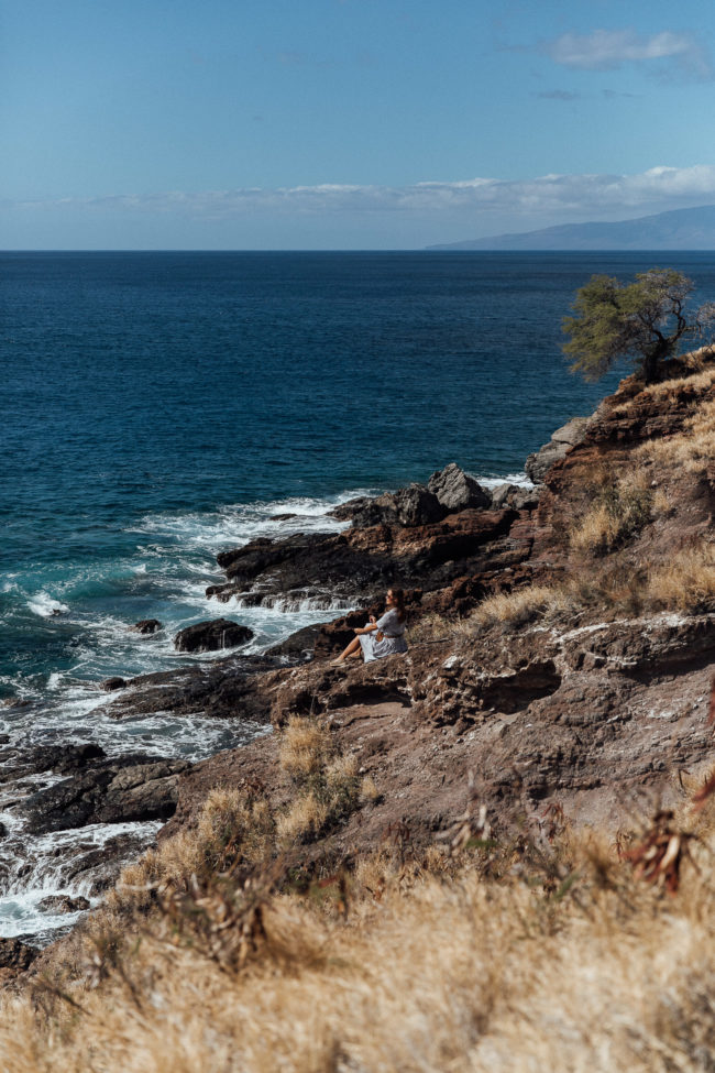 Whale Lookout Point Maui - Josie Loves